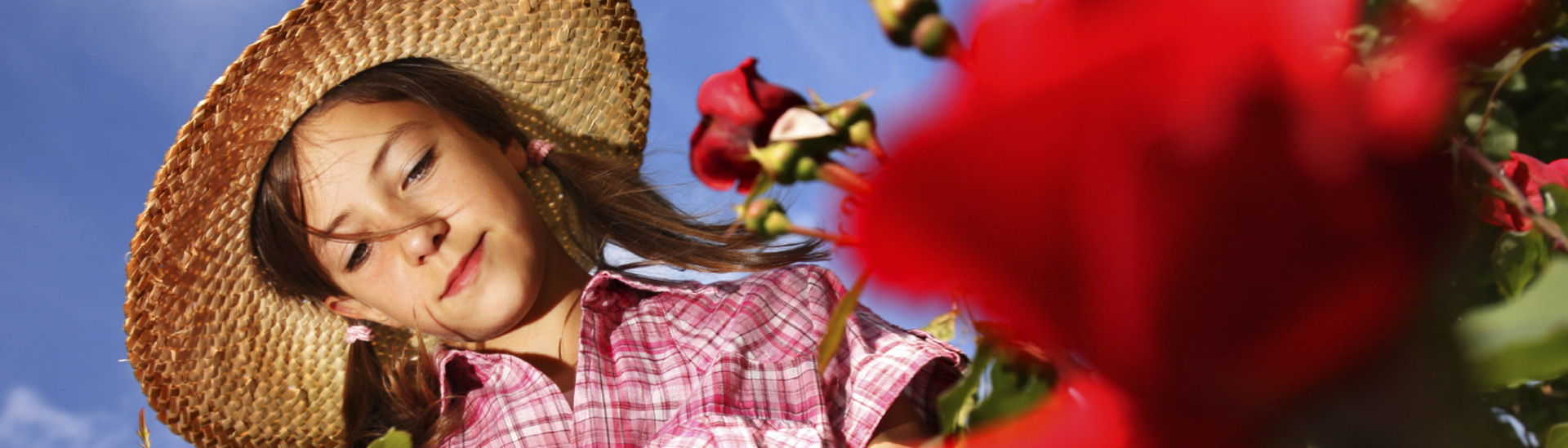 Online garden seeds | Seeds4garden.com