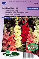 Buy Garden Stocks, Gilllyflower Dwarf Ten Week Mix? Order seeds online ...