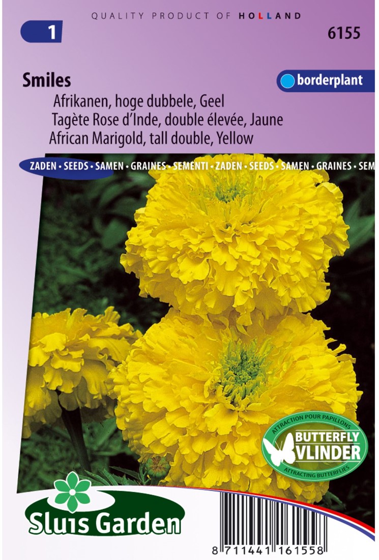 Buy African Marigold Smiles - Tagetes? Order seeds online at ...