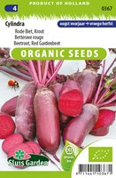 Rode Biet, Kroot, Cylindra EKO Seeds 4 Garden