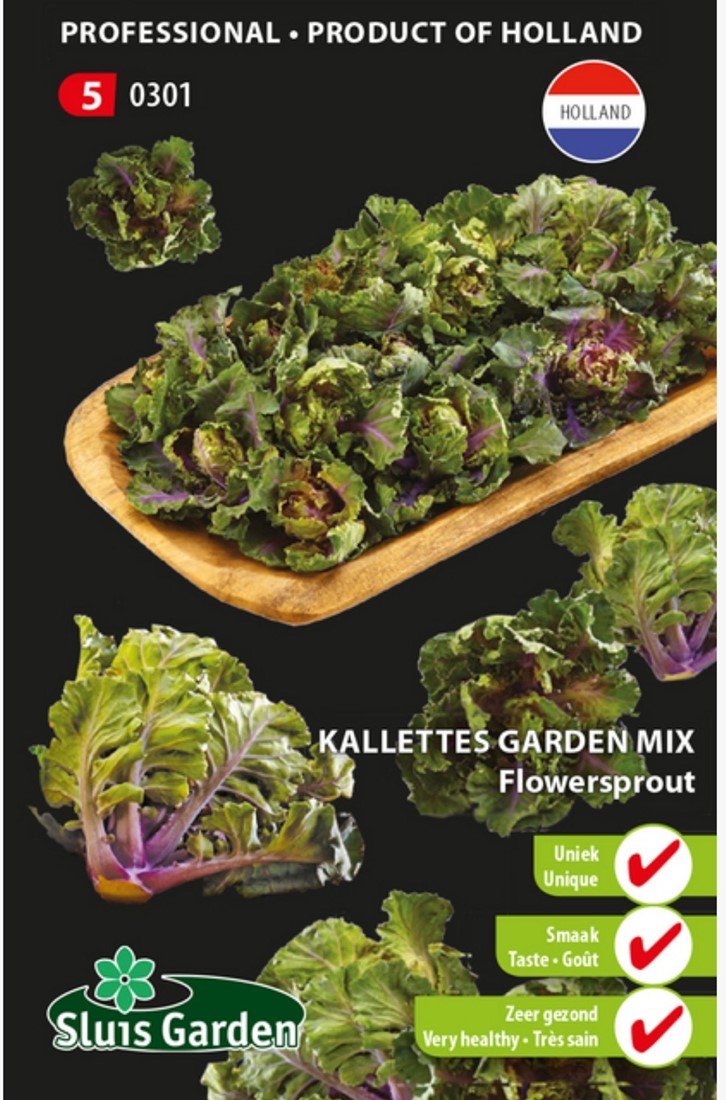 Buy Kalettes, Flowersprout? Order seeds online at Seeds4garden.com