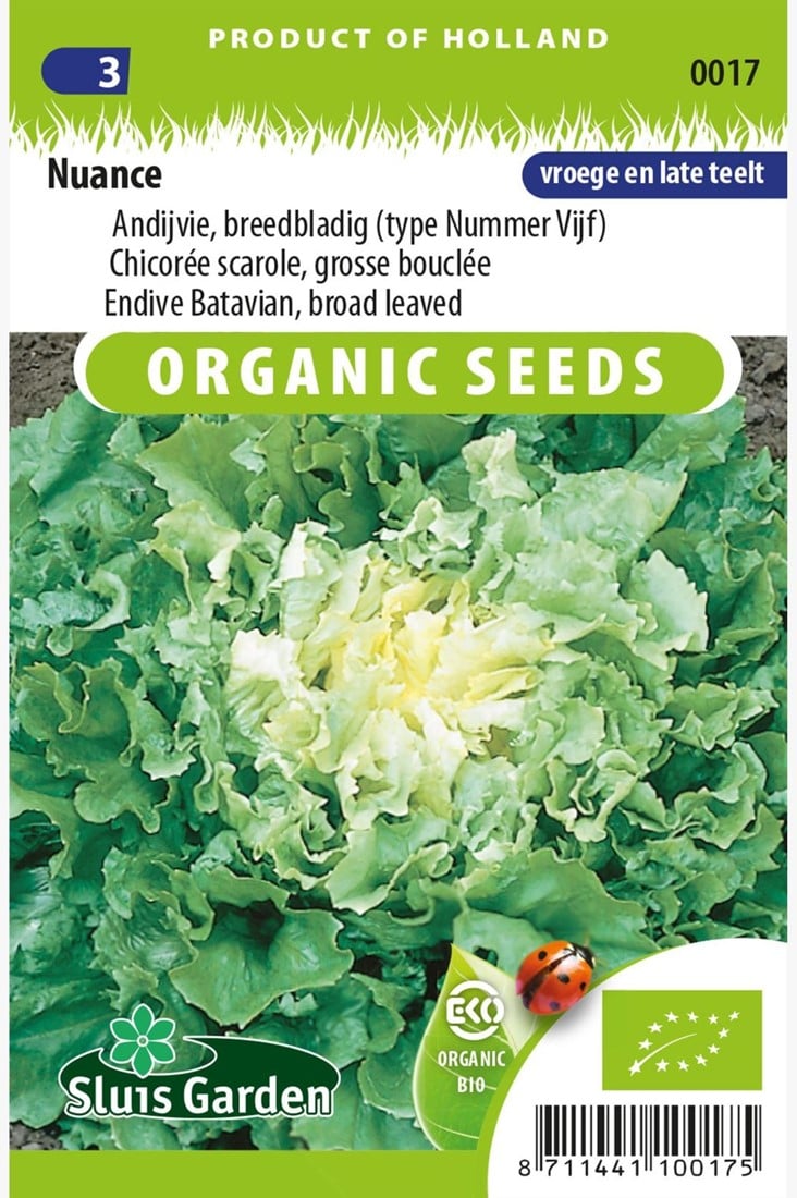 Andijvie Breedblad Nuance EKO Seeds 4 Garden